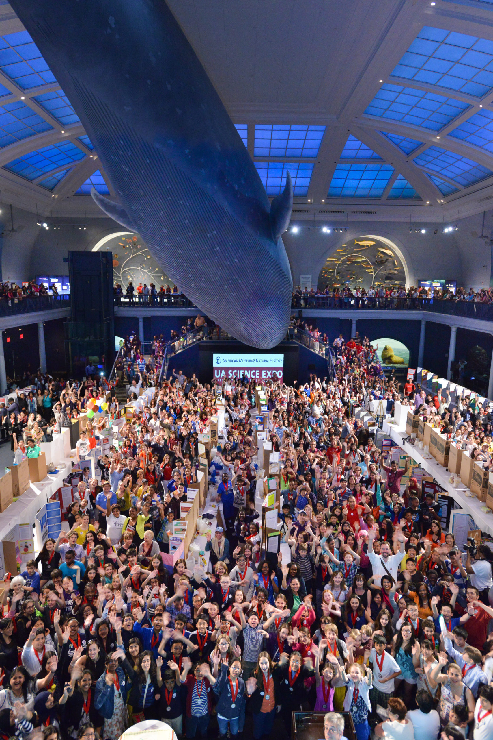 Lessons on whales, fossils and coding at NYC museum - District ...