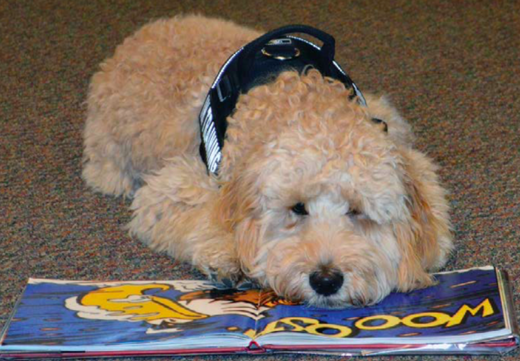 School therapy dog helps students with autism at home