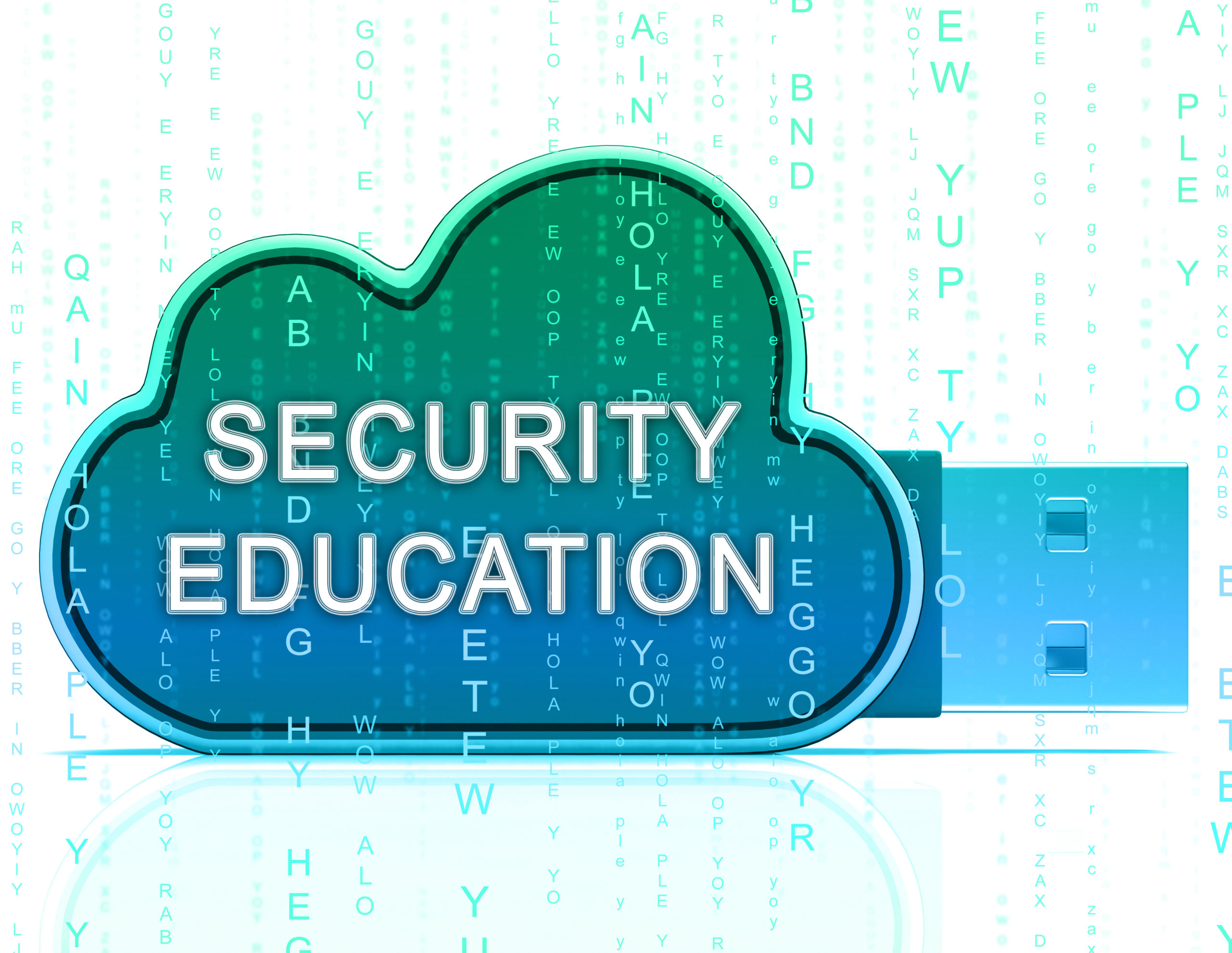 National standards are critical to get cybersecurity education to more ...